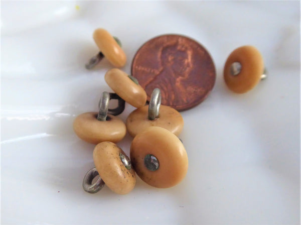 Vegetable Ivory Shoe Buttons 7 Tan Glove Buttons Pin Shank 1890s Butto ...